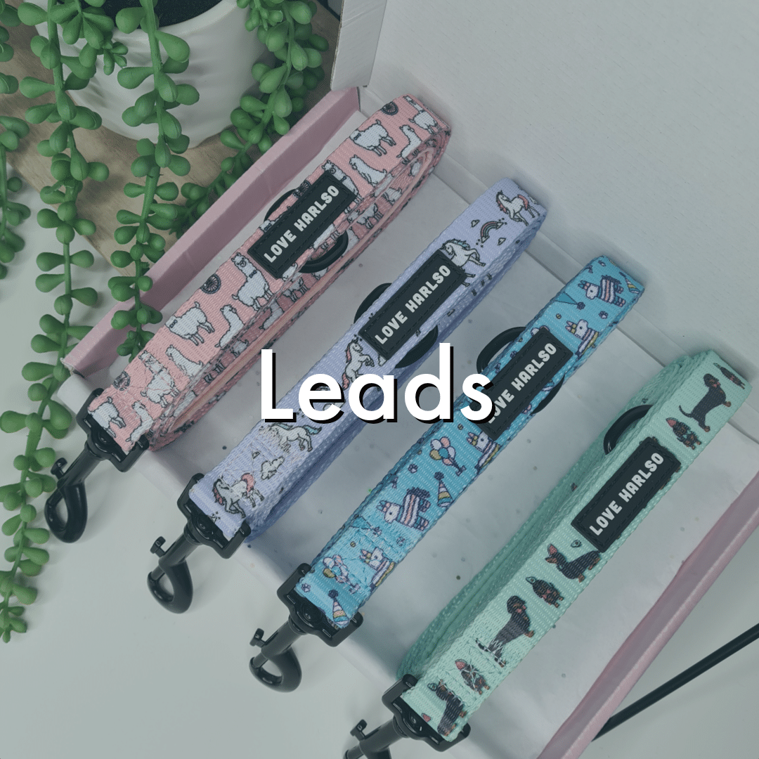 Love Harlso | Dog Harness | UK